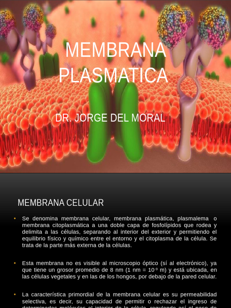 Membrana Plasmatica | PDF | Membrana celular | Bicapa lipídica
