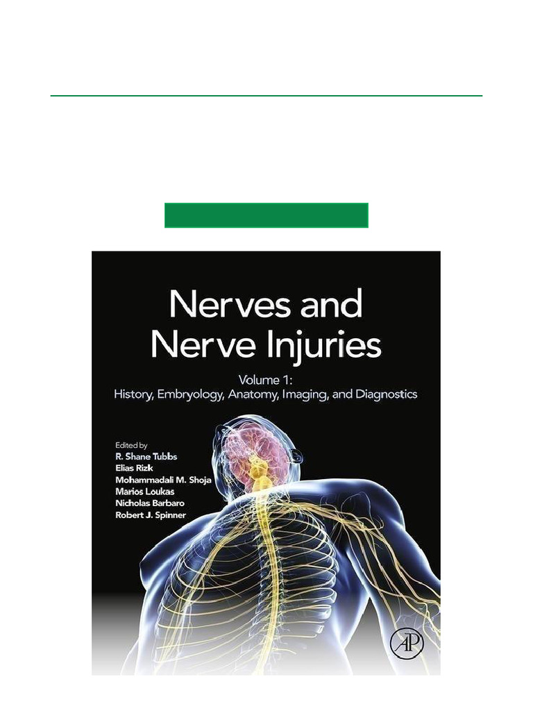 Nerves and Nerve Injuries Vol 1 History, Embryology, Anatomy, Imaging ...