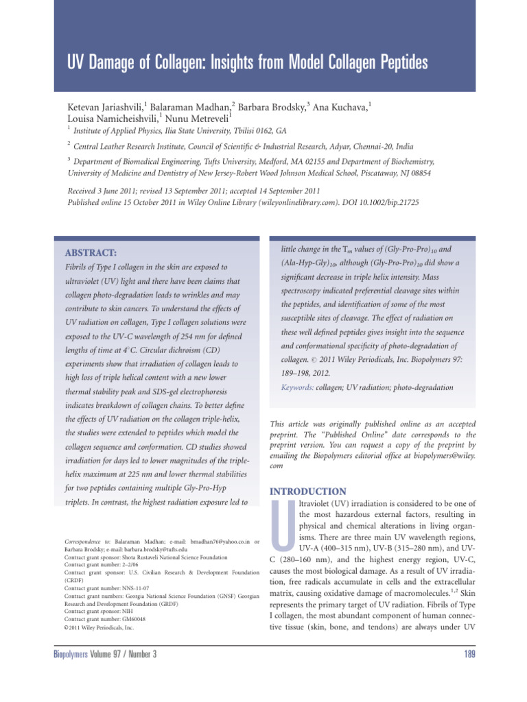 UV Damage of Collagen Insights From Model Collagen Peptides | PDF ...