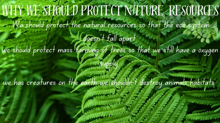 Why We Should Protect Nature Resources | PDF