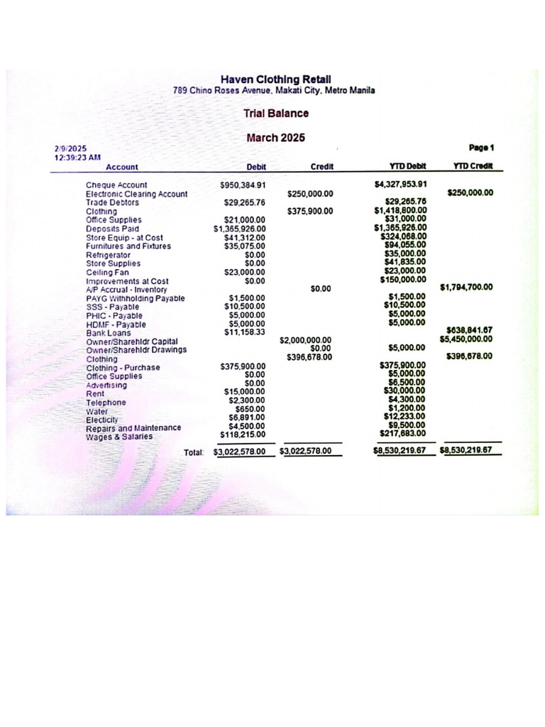 Trial Bal | PDF