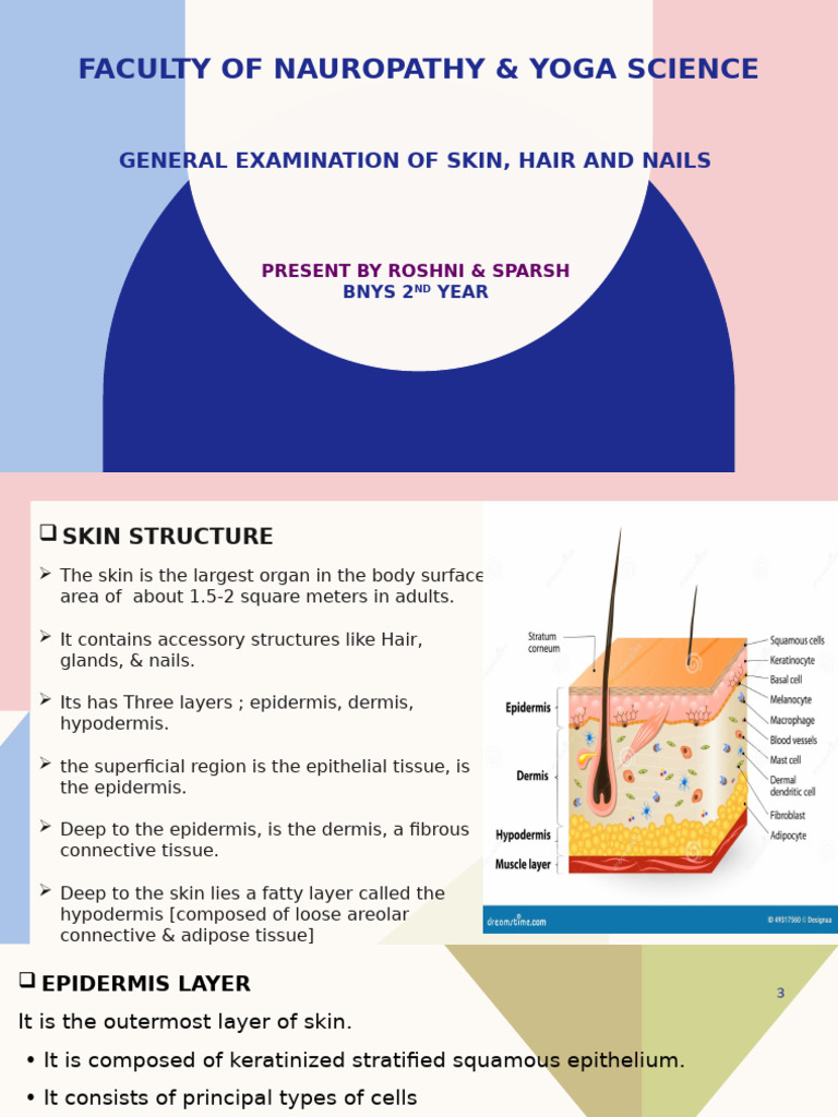 Nail Assessment and Onycholysis Overview | PDF | Epidermis | Skin