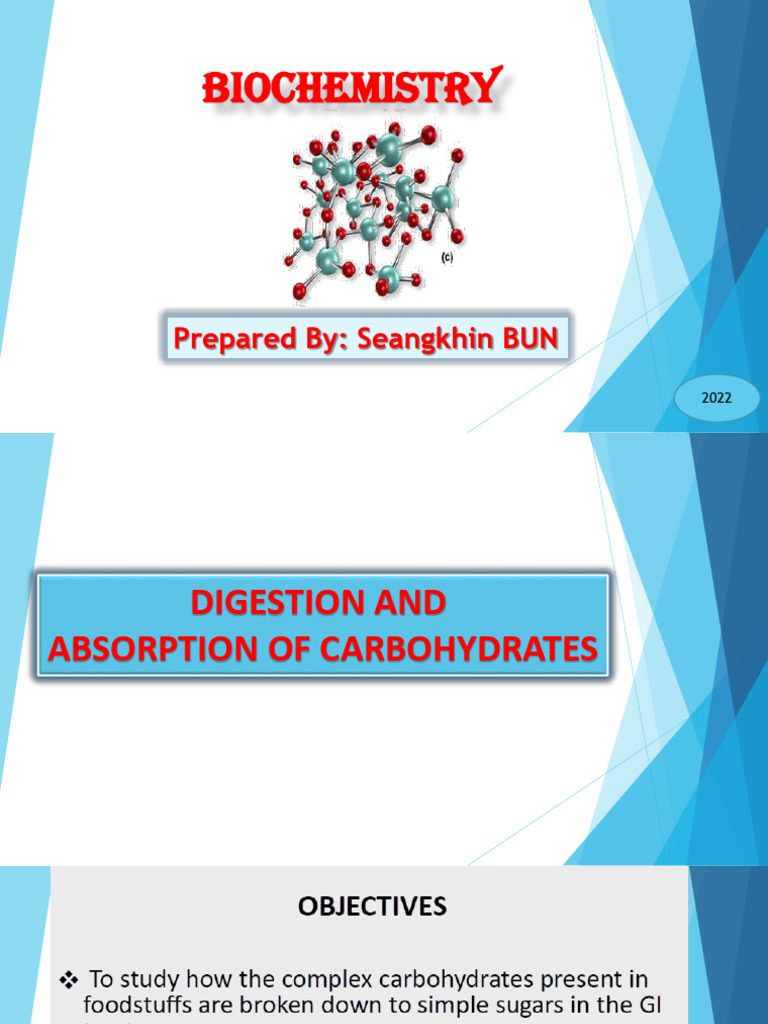 Digestion and Absorption of Carbohydrate | PDF | Small Intestine | Fructose