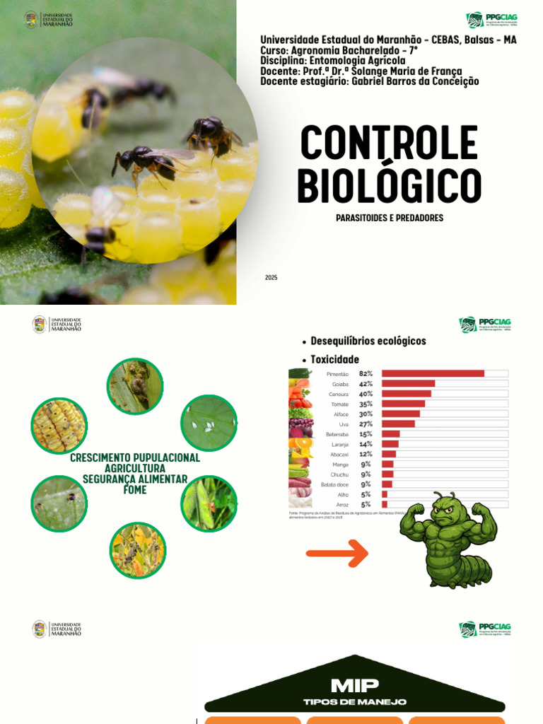 Controle Biológico - Parasitoides e Predadores | PDF | Himenópteros | Vespa