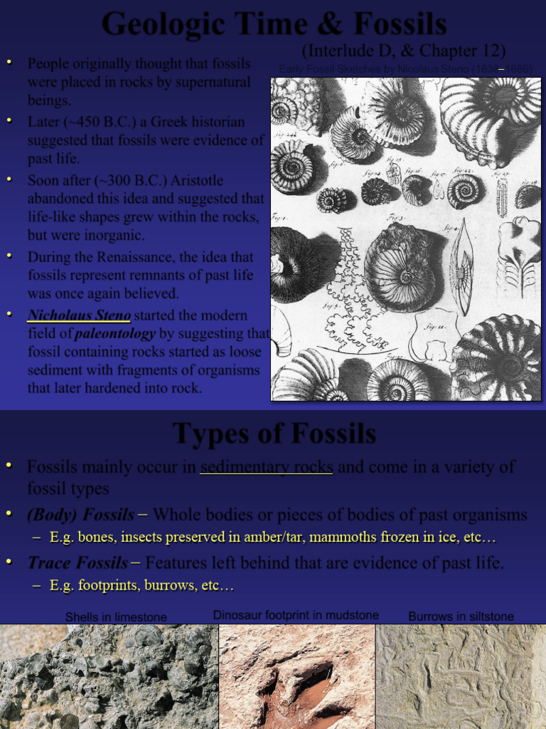 Geologic - Time and Fossils | PDF | Radioactive Decay | Geology