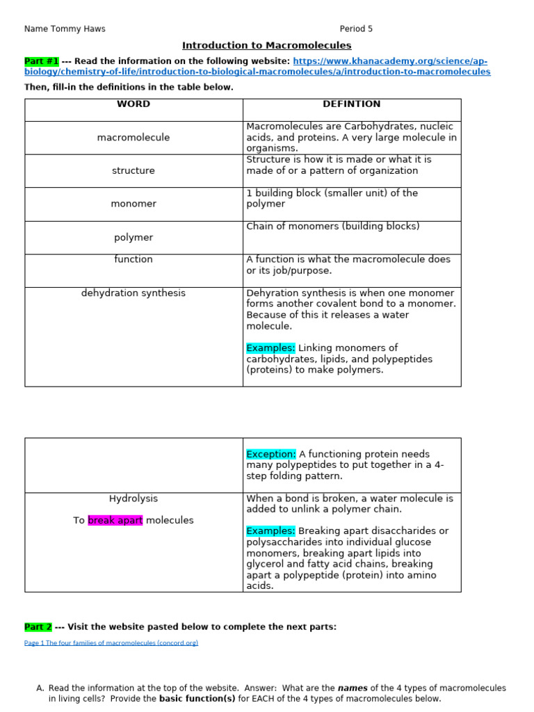 Introduction To Macromolecules (AH) | PDF | Macromolecules | Proteins