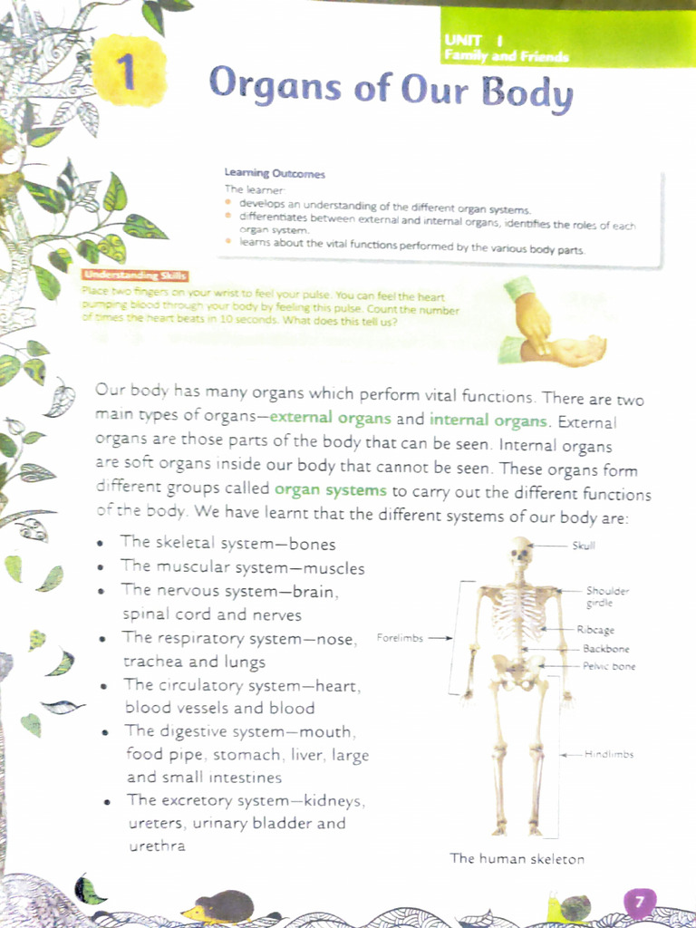 Understanding Human Body Systems | PDF | Human Body | Respiratory System