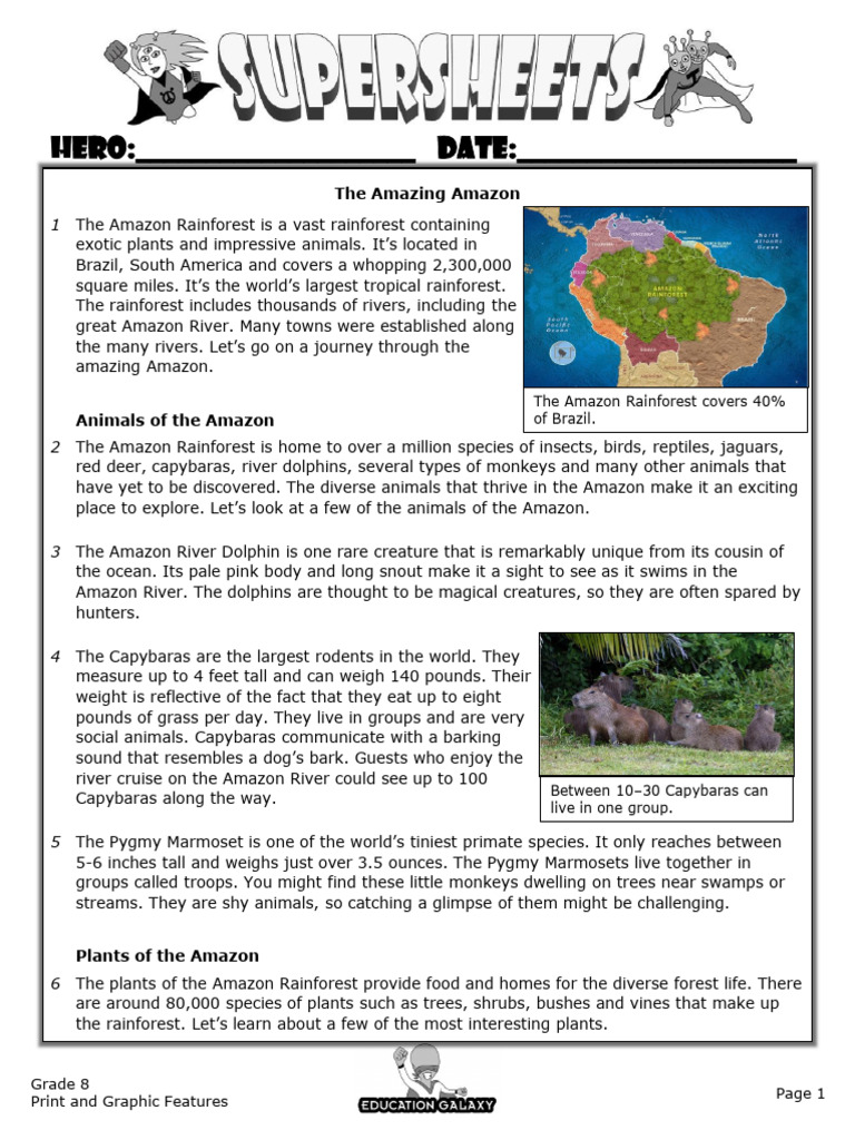 The Amazing Amazon SuperSheets Activity | PDF | Rainforest | Trees