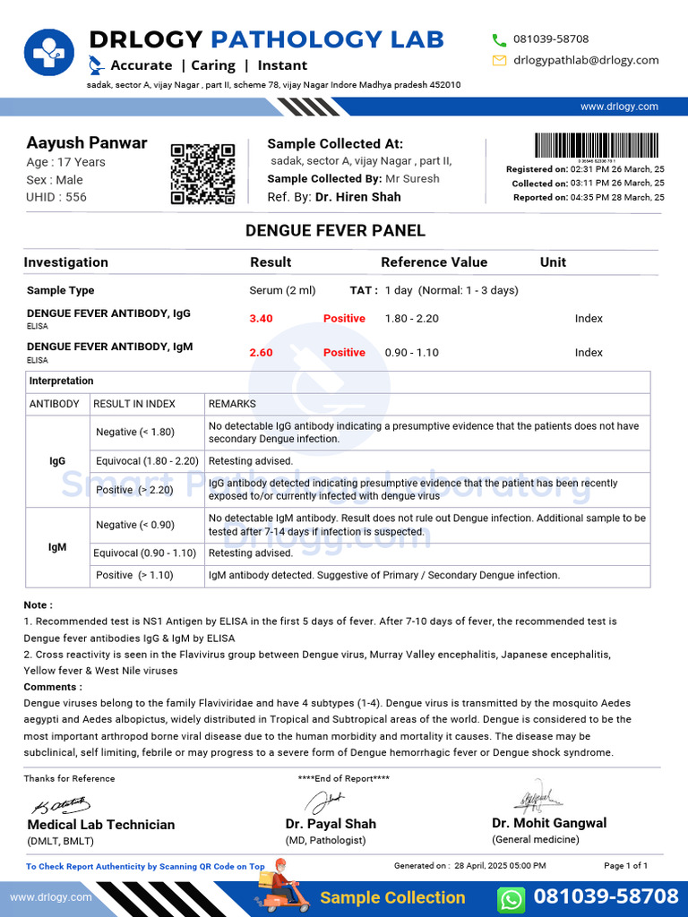 Positive Dengue Fever Test Report Format Example Sample Template Drlogy ...