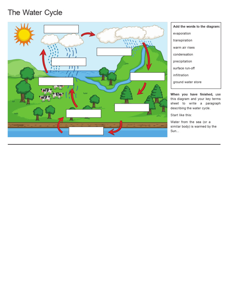 Grade7 the Water Cycle Activity Sheet_print at Home | PDF