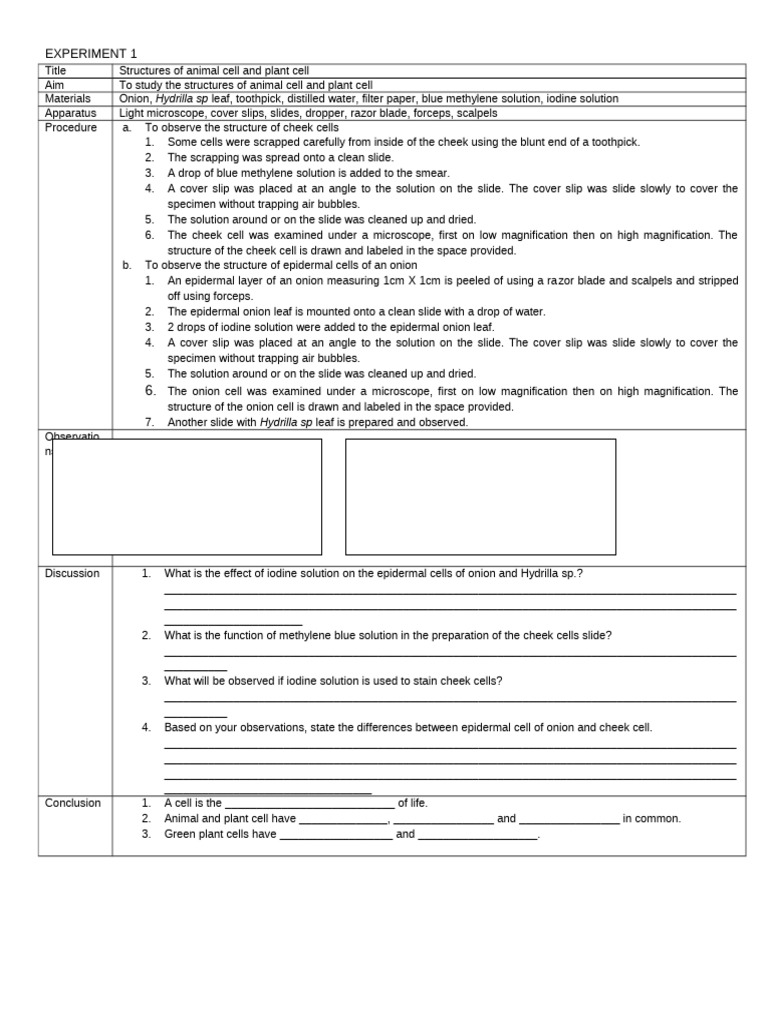 Biology F4 Experiments | PDF | Vitamin C | Peanuts