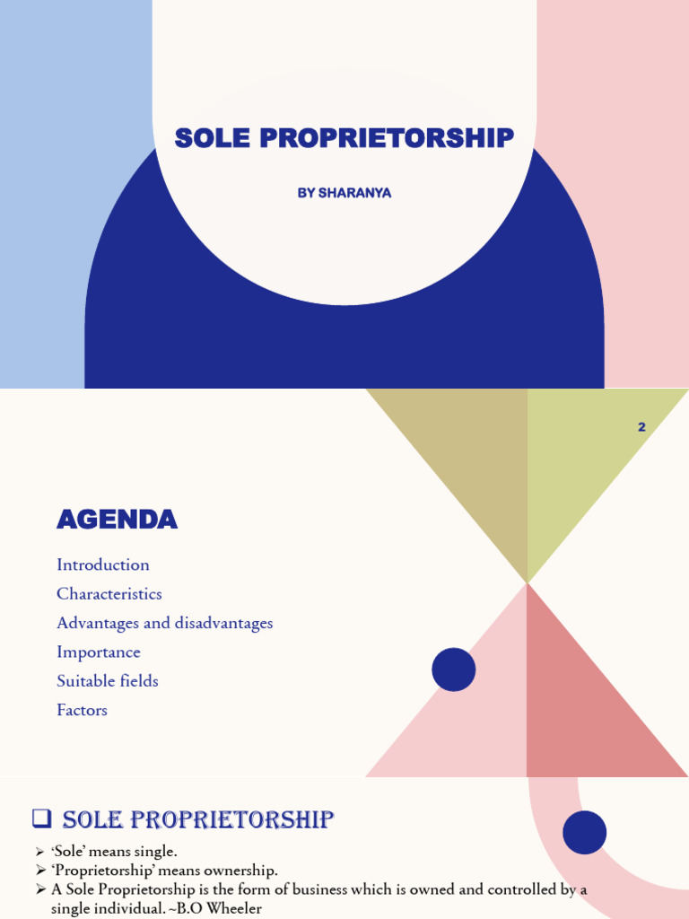 Overview of Sole Proprietorship | PDF | Sole Proprietorship | Ownership