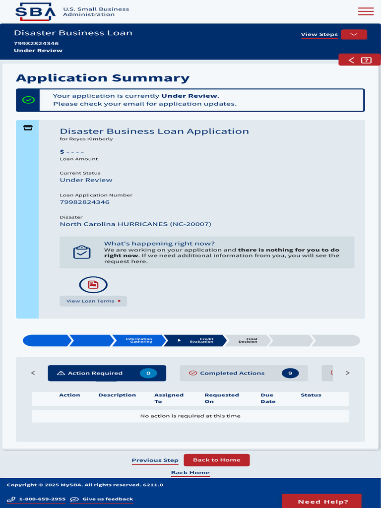 Loan Application - Summary - MySBA 4 | PDF