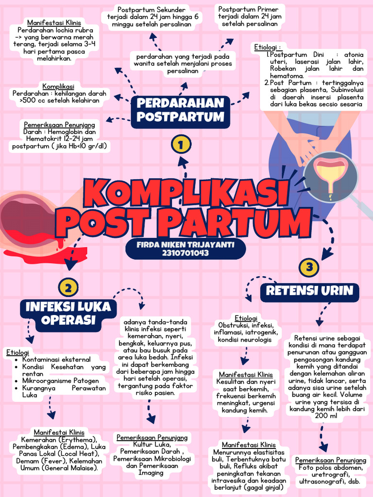 B 043 Firda Niken Mind Map Komplikasi Postpartum | PDF