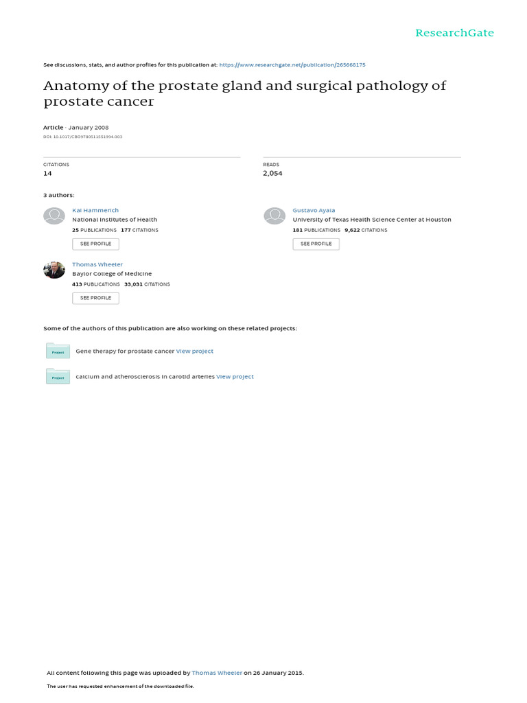 Anatomy of The Prostate Gland and Surgical Patholo | PDF | Prostate ...