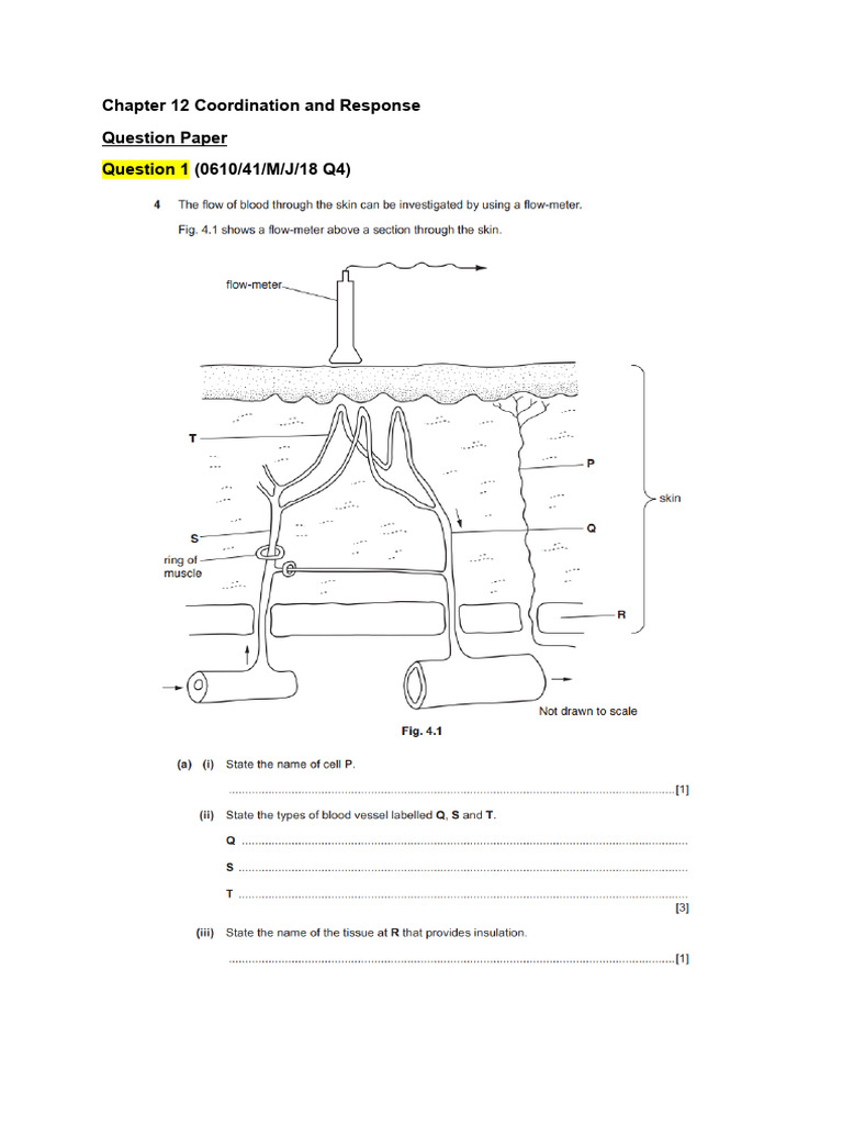 Coordination and Response Exam Questions | PDF