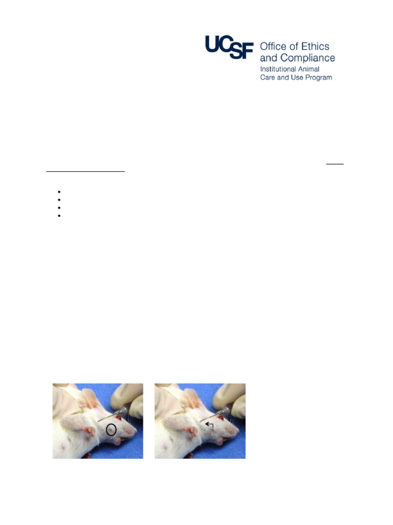 Submandibular Blood Collection in Mice: IACUC Standard Procedure ...