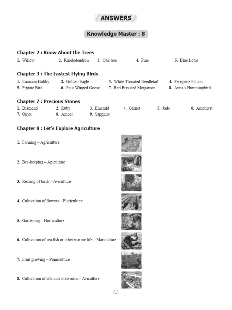 Knowledge Master: Key Topics Overview | PDF | Gemstone