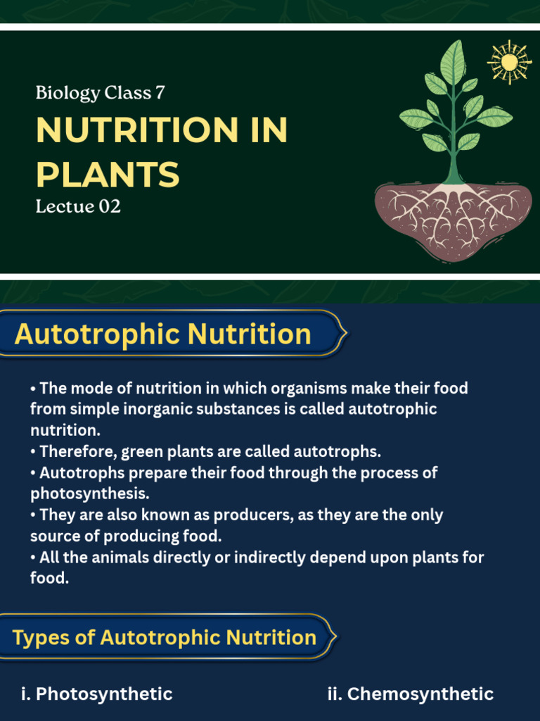 Class 7 Nutrition In Plants Lecture 2 Pdf