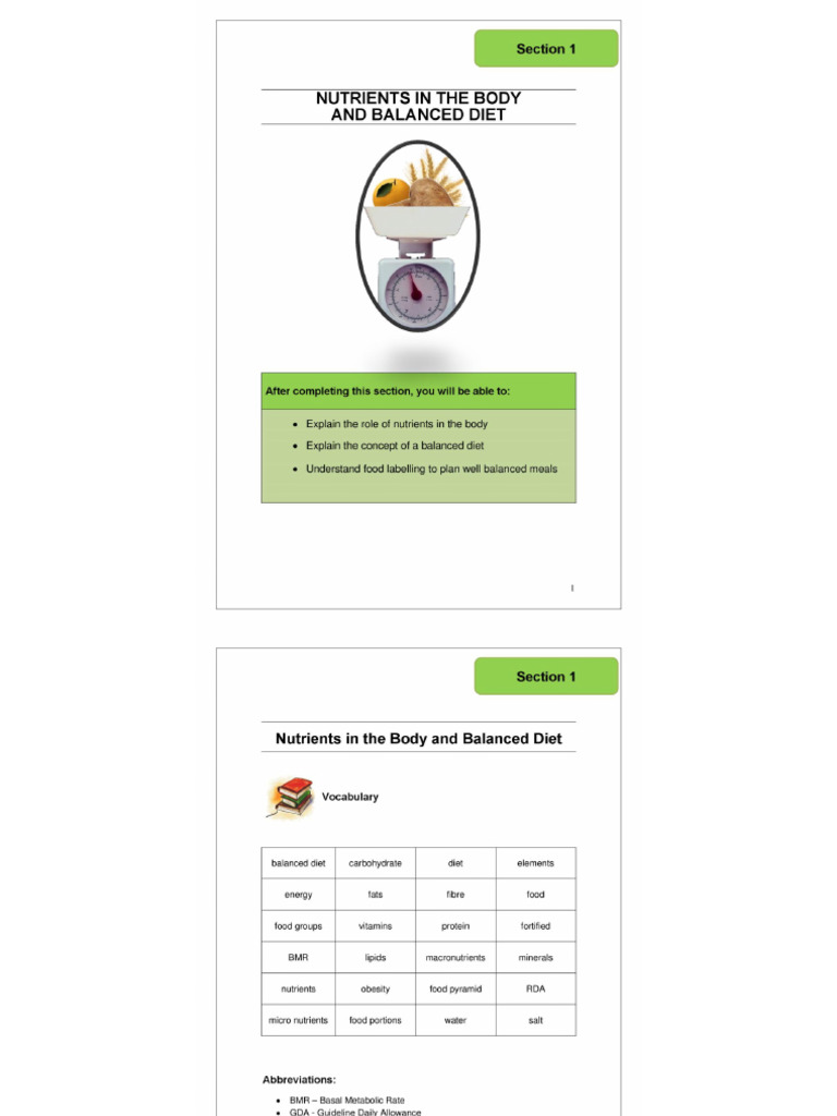 Section 1 Food Groups With Balanced Diet | PDF