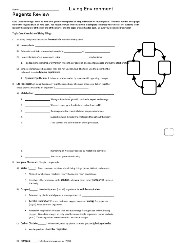 Bare Essentials Living Environment Review Packet | PDF | Cellular ...