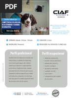 Caninos vs Felinos: Comparativa Esencial | PDF | Felidae | Canidae