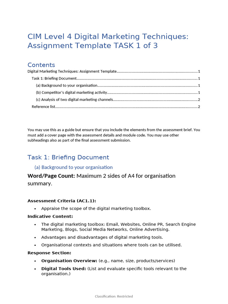 CIM Level 4 Digital Marketing Template | PDF | Digital Marketing ...