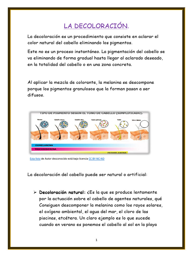 Guía Completa de Decoloración Capilar | PDF | Pelo | Color