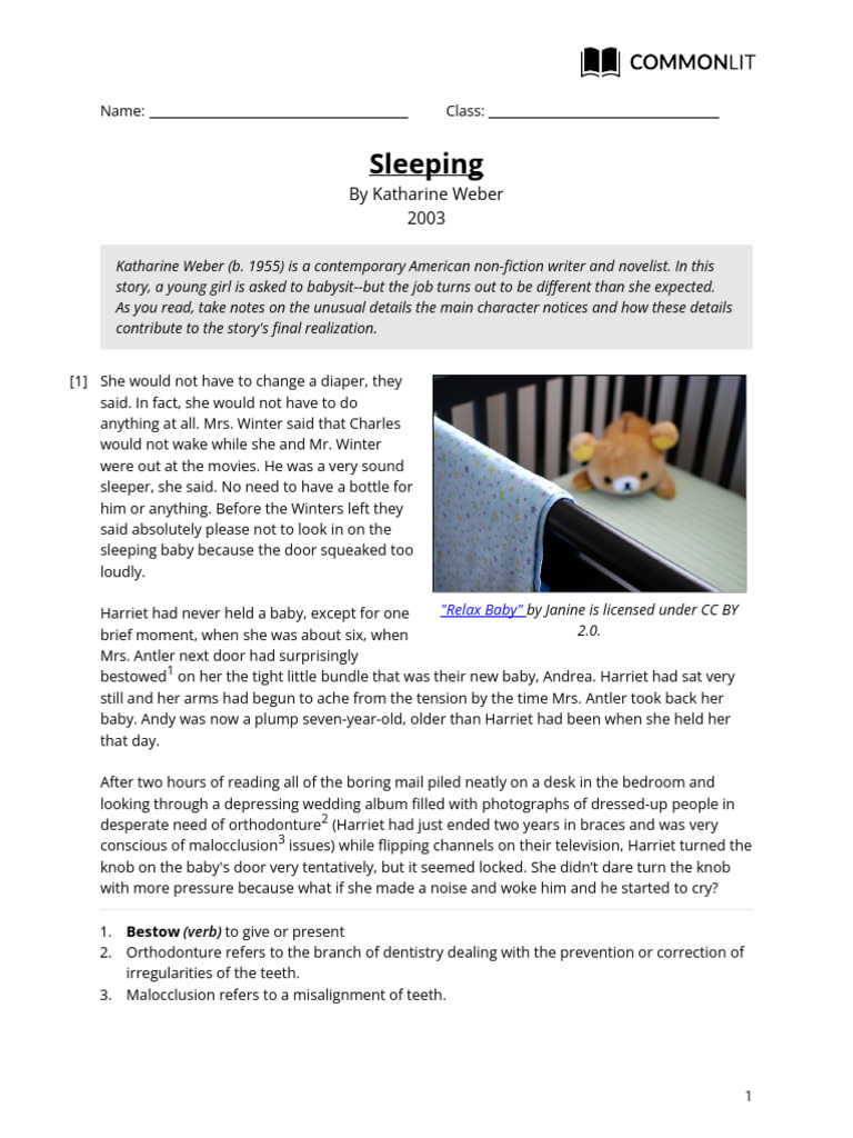Sleeping-Student | PDF