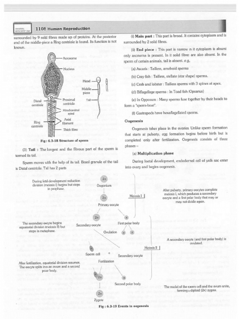 Errorless Biology Part 2-60 | PDF