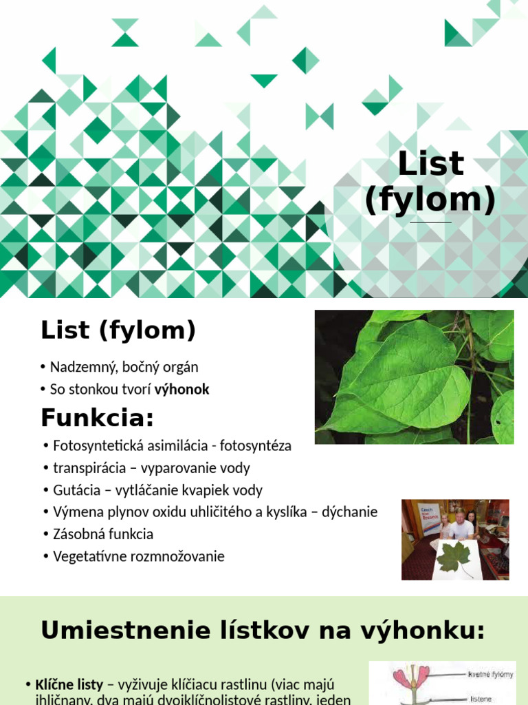 List (Fylom) | PDF