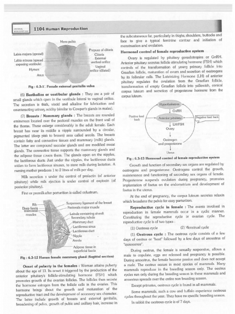 Errorless Biology Part 2-56 | PDF