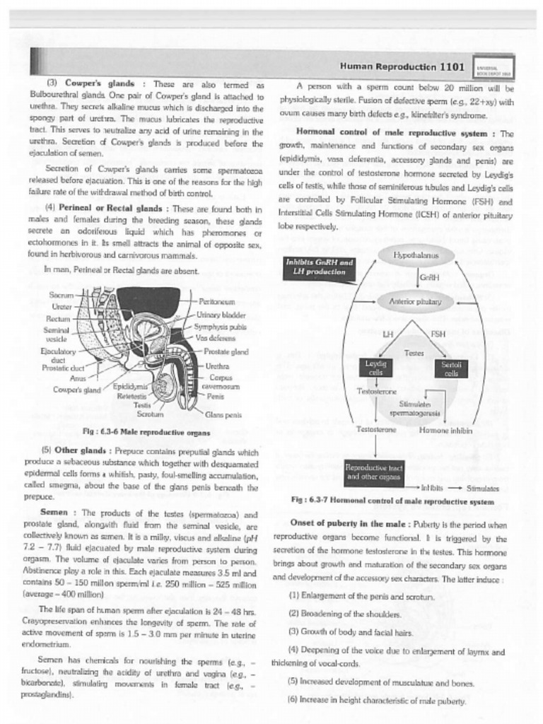 Errorless Biology Part 2-539000 | PDF