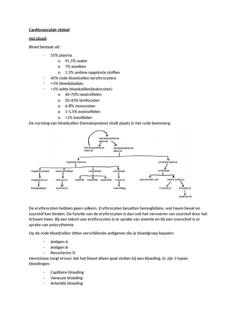Fysiologie samenvatting cardiovasculair stelsel | PDF