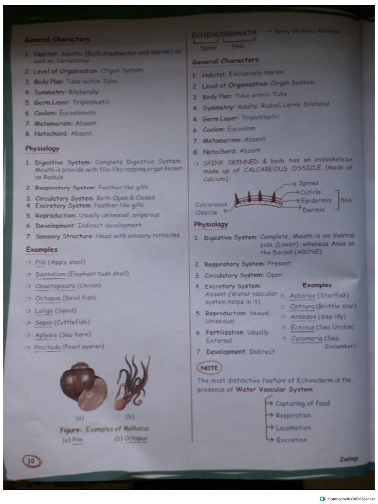 Zoology Med Easy by Samapti Mam by Nova (1) (Dragged) 4 | PDF