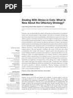 Cat FAS and Frustration Management Guide | PDF