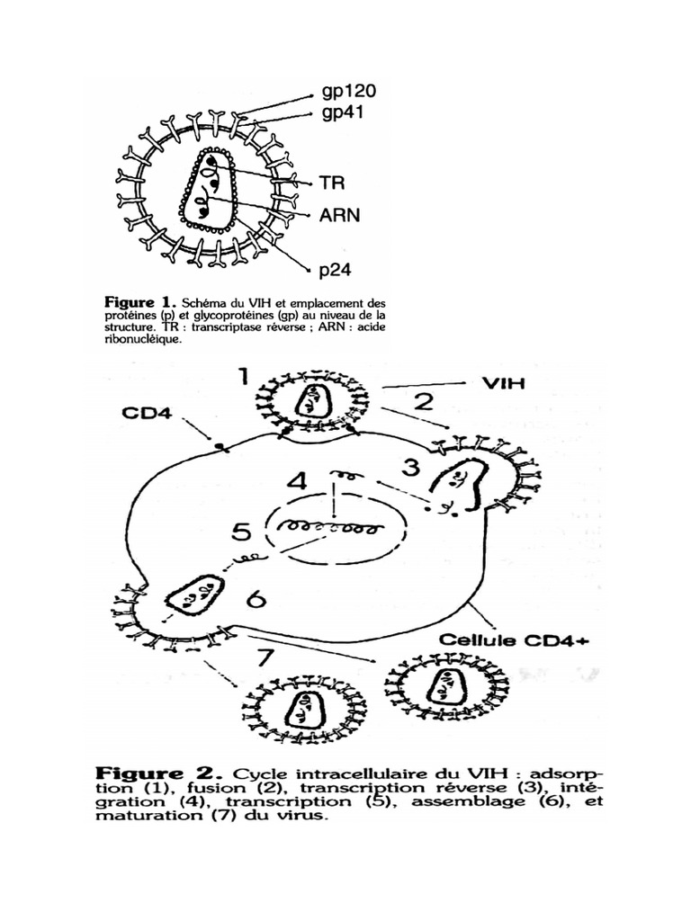 Schéma VIH | PDF