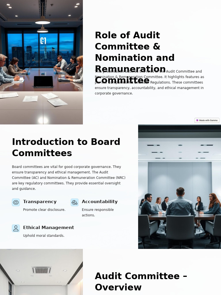 Role of Audit Committee and Nomination and Remuneration Committee | PDF ...