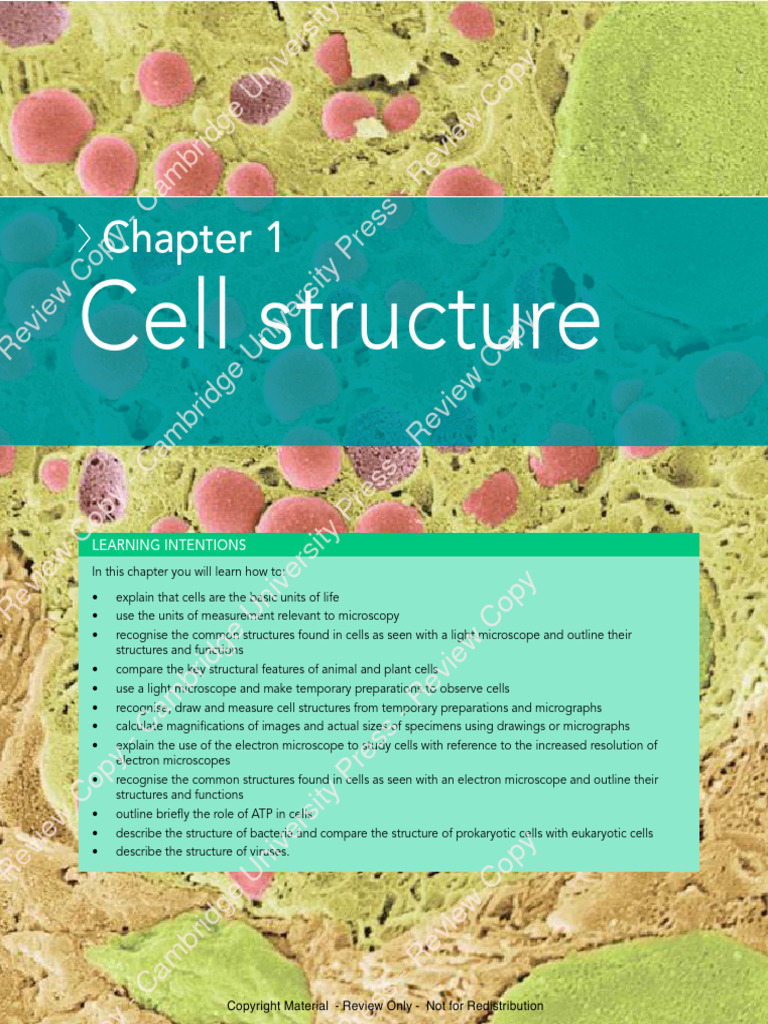 Biology Chap 1 | PDF | Cell (Biology) | Cell Nucleus