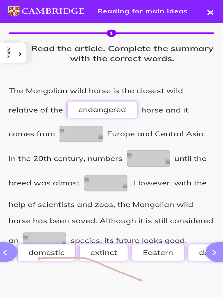 Reading For Main Ideas Cambridge One | PDF