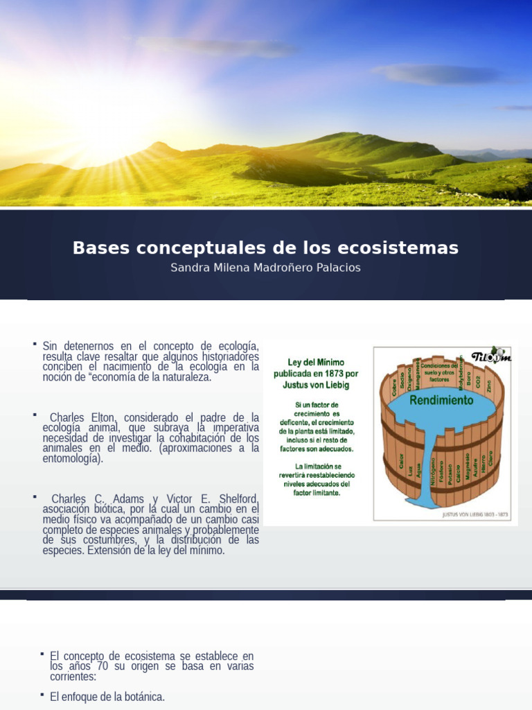 Clase 3. Bases Conceptuales de Los Ecosistemas | PDF | Ecosistema | Ecología