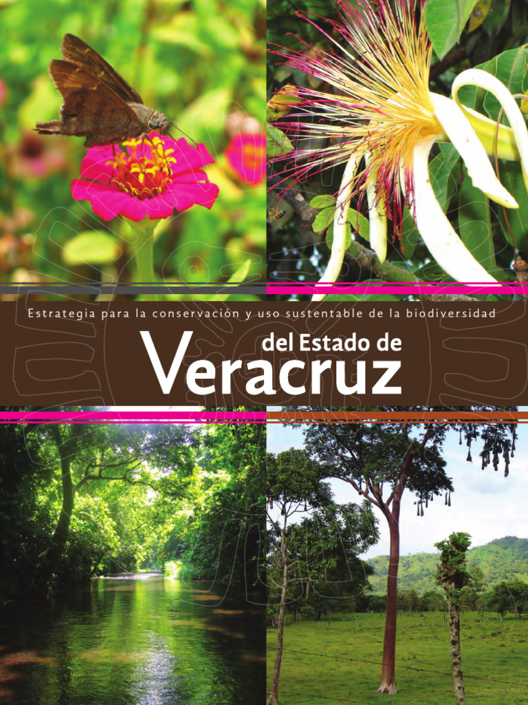 ECUSBE VER Estrategia de Conserv y Uso Sust de La Biodiversidad | PDF | Biodiversidad ...