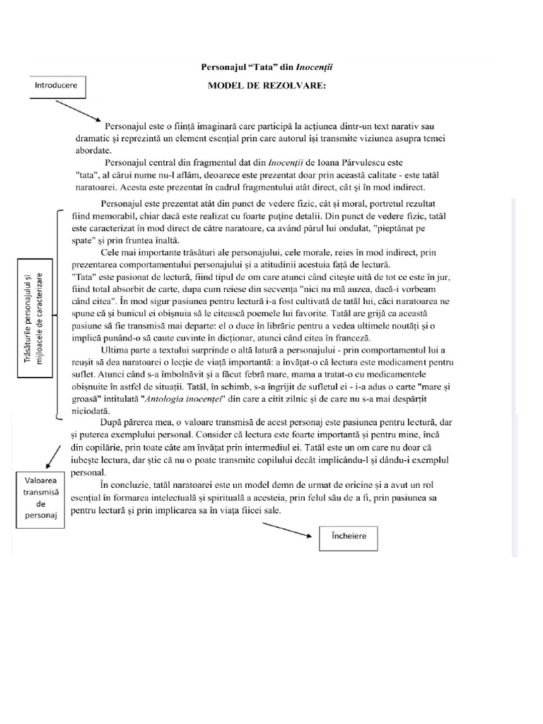 Model Caracterizare | PDF