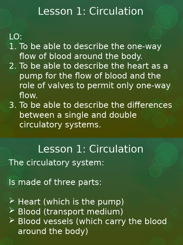 Chapter 5 Lesson 1 Circulation | PDF | Circulatory System | Heart