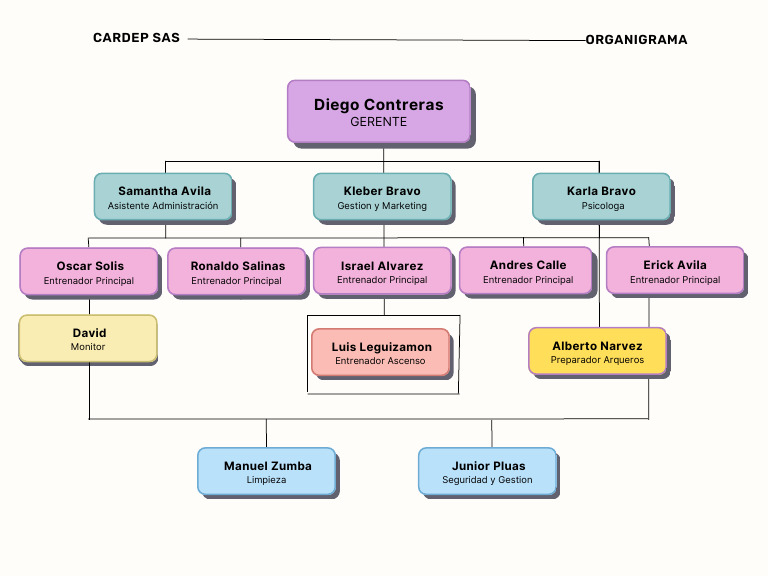 Pink Colorful Modern Organizational Chart Graph | PDF