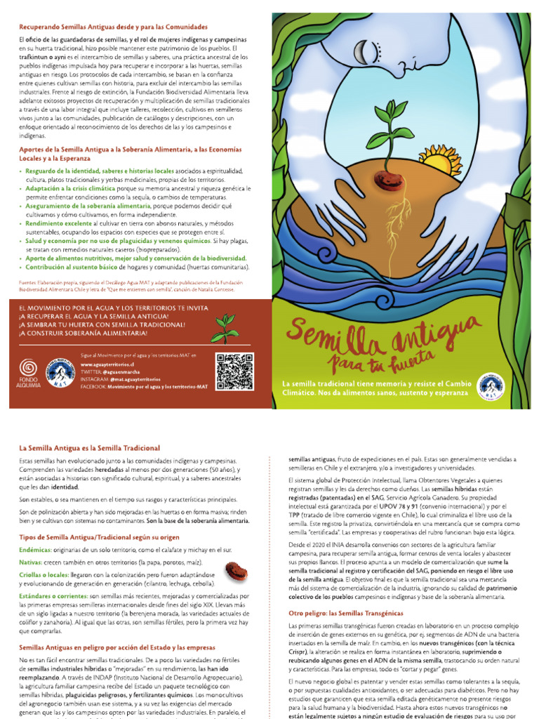 Diptico Semilla Antigua | PDF