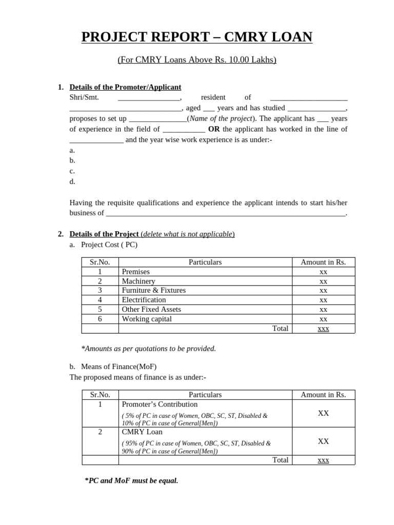 CMRY Loan Project Report Template | PDF | Expense | Income