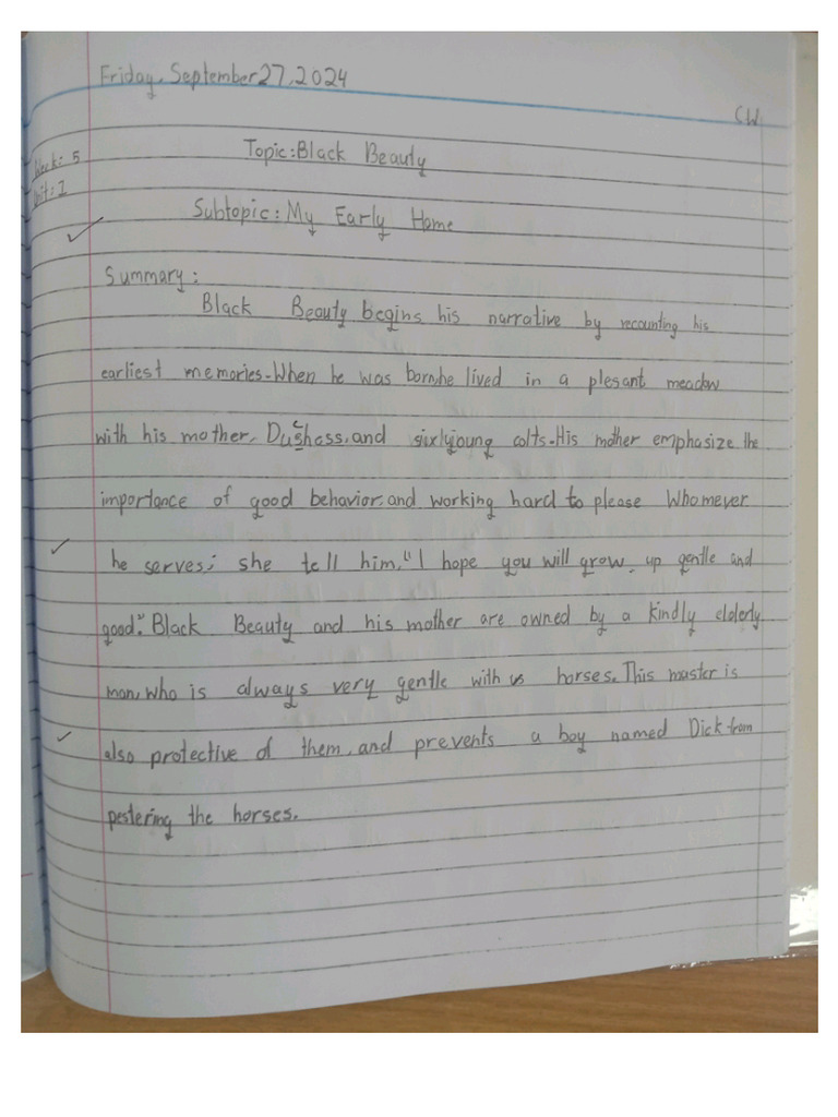 Black Beauty Summary | PDF