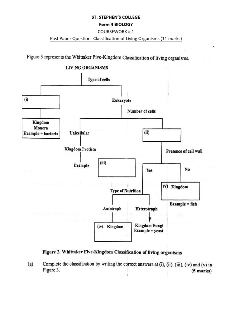 Classification | PDF