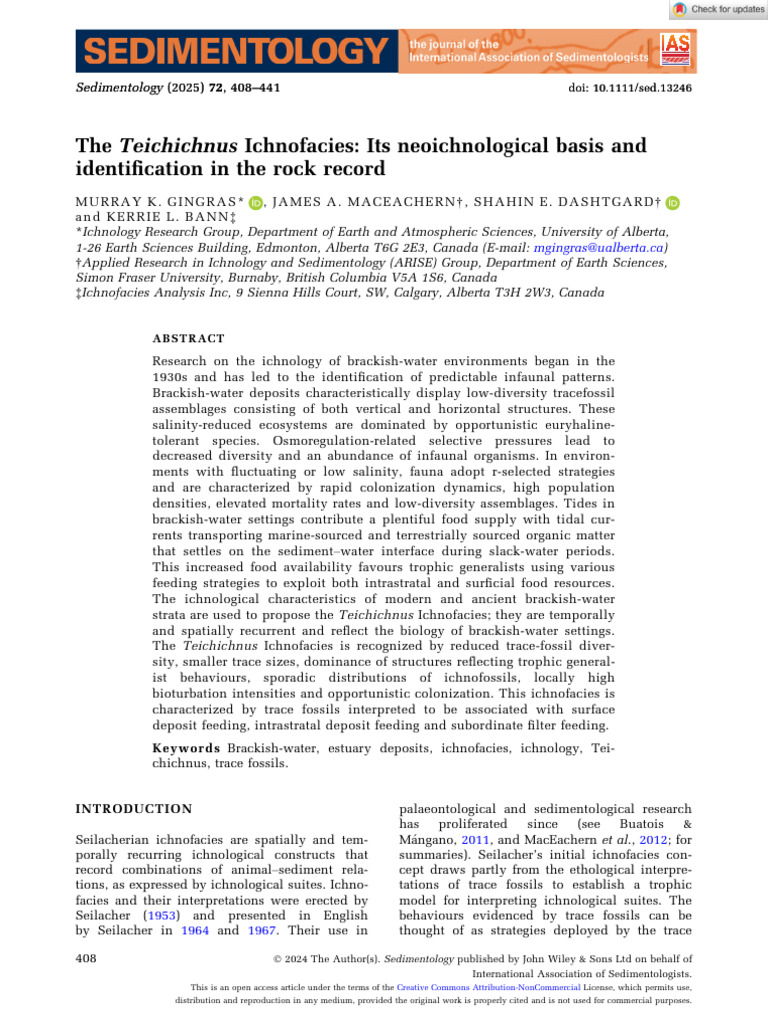 Teichichnus Ichnofacies in Brackish Waters | PDF | Estuary | River Delta